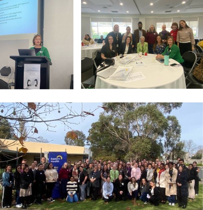 Prof Bridget Hamilton Delivers Mental Health Nursing Keynote